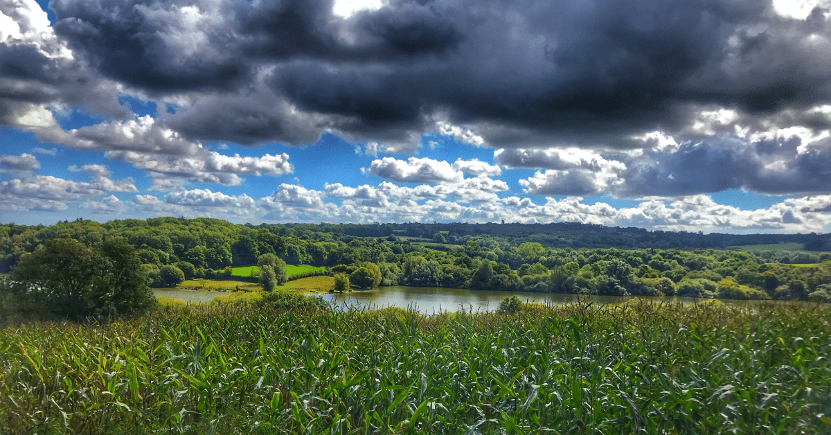 East Grinstead Circular: A Walk From Water Into Wine - The Flamingo Hiker