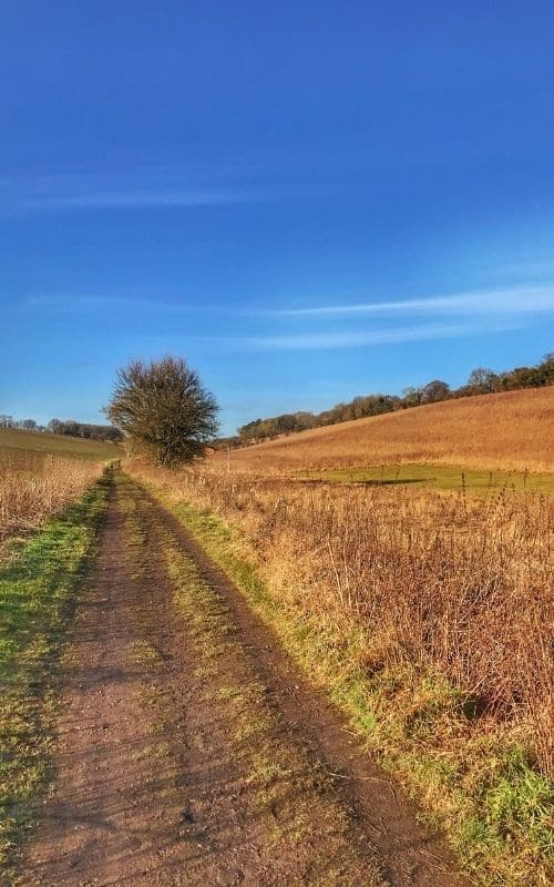 Chesham Walk - The Beauty Of The Chilterns - The Flamingo Hiker