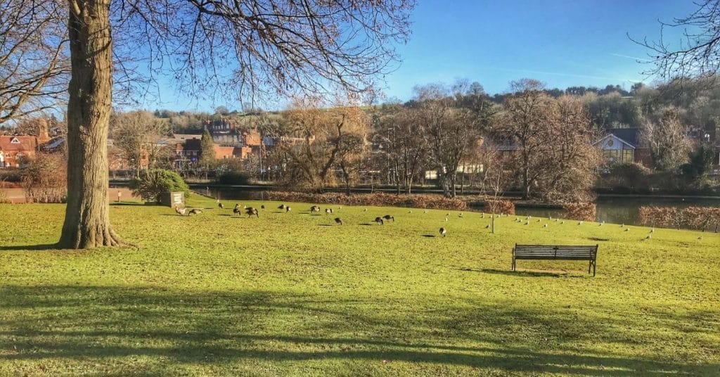 Chesham Walk - The Beauty Of The Chilterns - The Flamingo Hiker