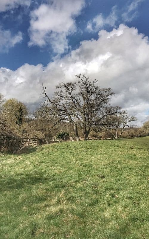 Chess Valley Walk: Complete Guide Including GPS Map - The Flamingo Hiker
