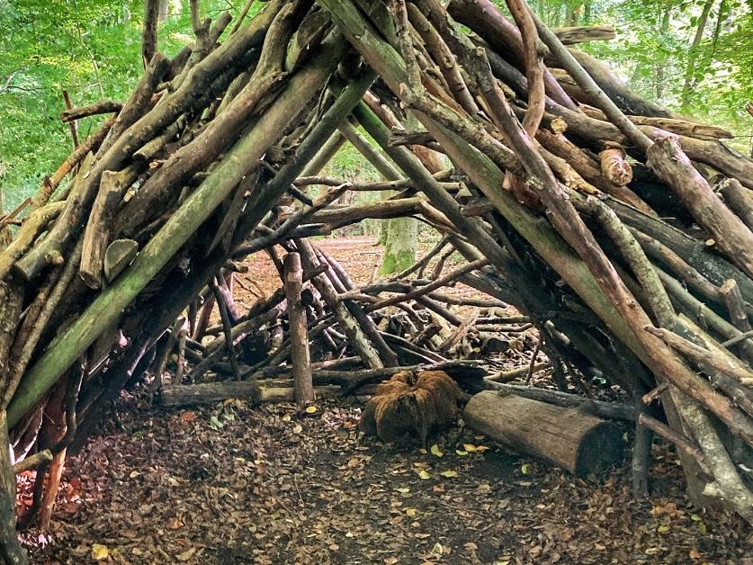 Alice Holt Forest Walk & Map - The Flamingo Hiker
