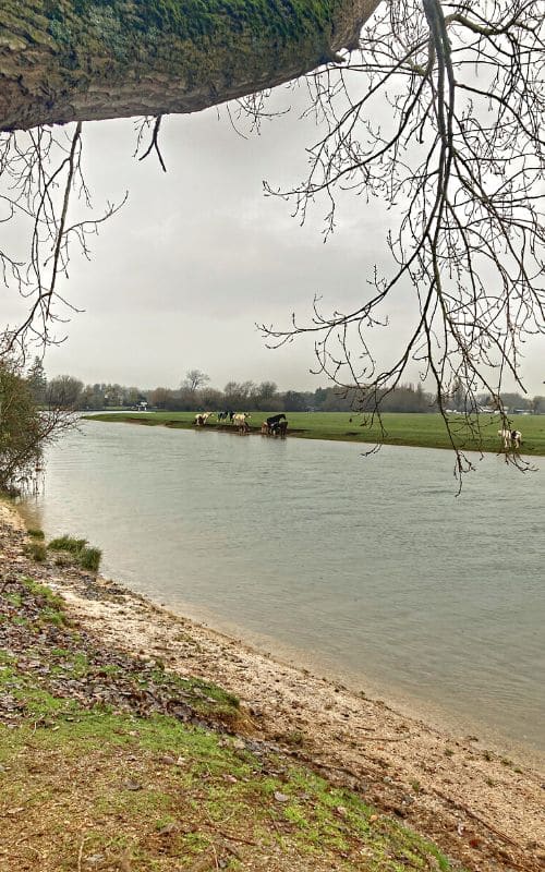 Oxford Thames Path Walk - Complete Guide & Map - The Flamingo Hiker