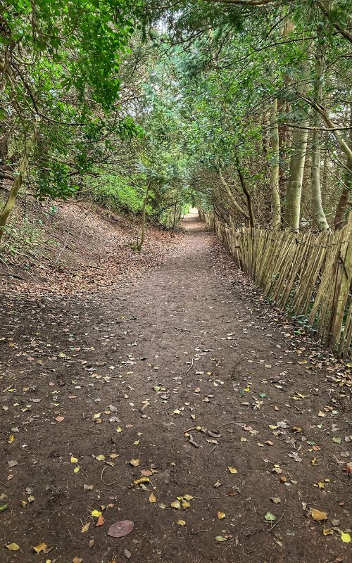 Box Hill Walk - Complete Guide & Map - The Flamingo Hiker