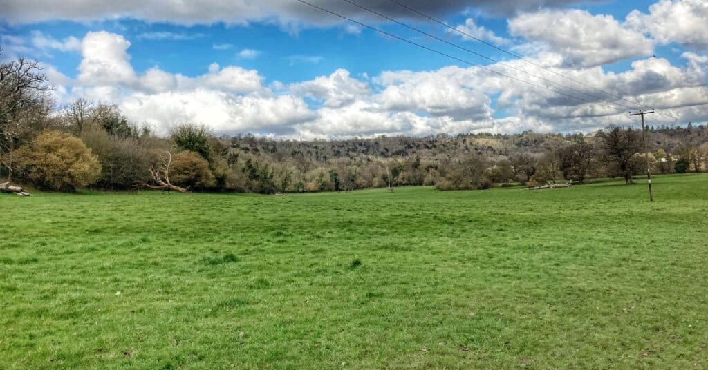 Box Hill Walk - Complete Guide & Map - The Flamingo Hiker