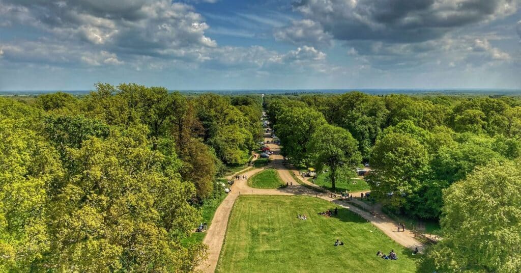 Ashridge Bluebell Walk - Complete Guide & Map - The Flamingo Hiker
