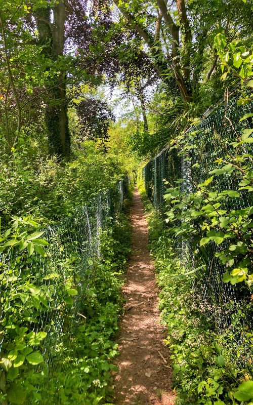 Marlow To Henley Walk Via The Thames Path - The Flamingo Hiker