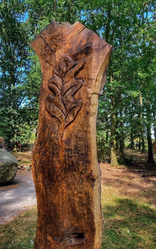 Bradgate Park Walk - Complete Guide and Map - The Flamingo Hiker