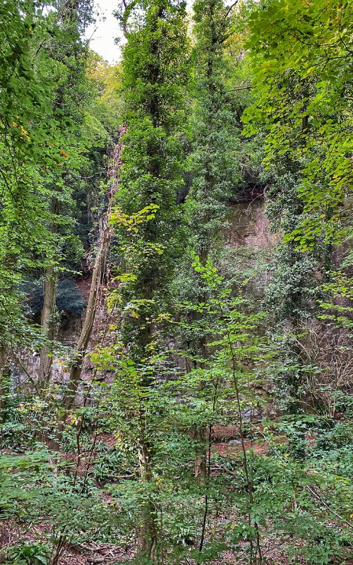 Symonds Yat Rock Walk - Complete Guide & Map - The Flamingo Hiker
