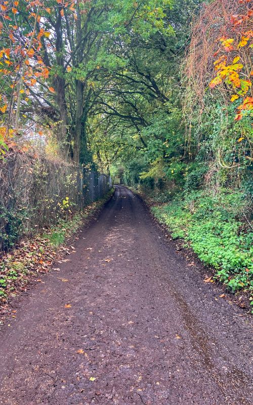 Crab And Winkle Way Walk - Map & Complete Guide - The Flamingo Hiker