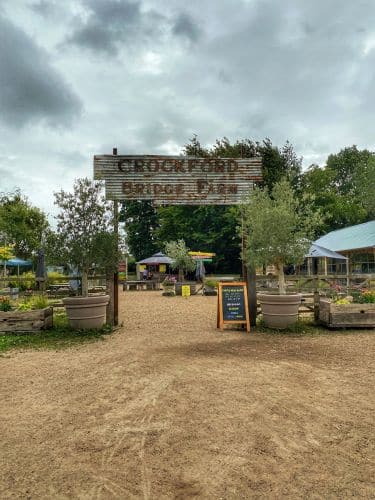 Chertsey to Addlestone Thames Path Walk - Guide & Map - The Flamingo Hiker