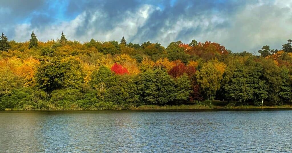 Virginia Water Lake Walk - Guide & Map - The Flamingo Hiker