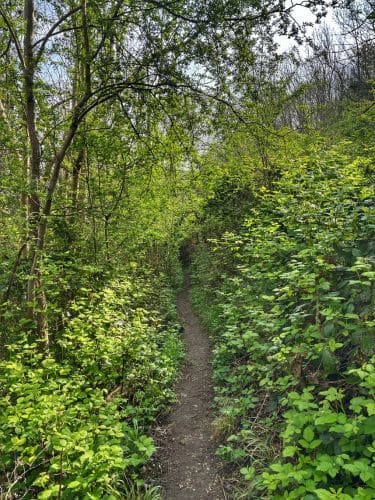 Lewes via Glynde Circular Walk [Free Guide & Map] - The Flamingo Hiker