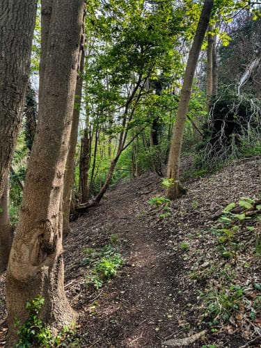Lewes via Glynde Circular Walk [Free Guide & Map] - The Flamingo Hiker