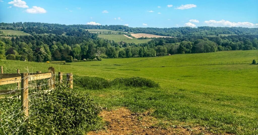 Tillingbourne At Work Walk [Free Guide & Map] - The Flamingo Hiker